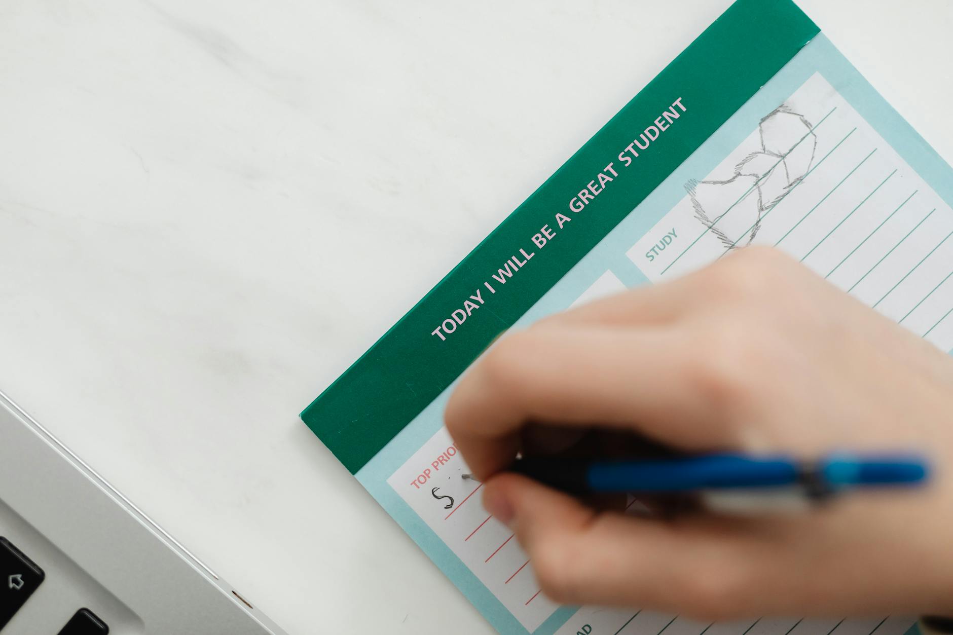 Lettre de motivation STAPS : guide complet pour réussir - Bezy